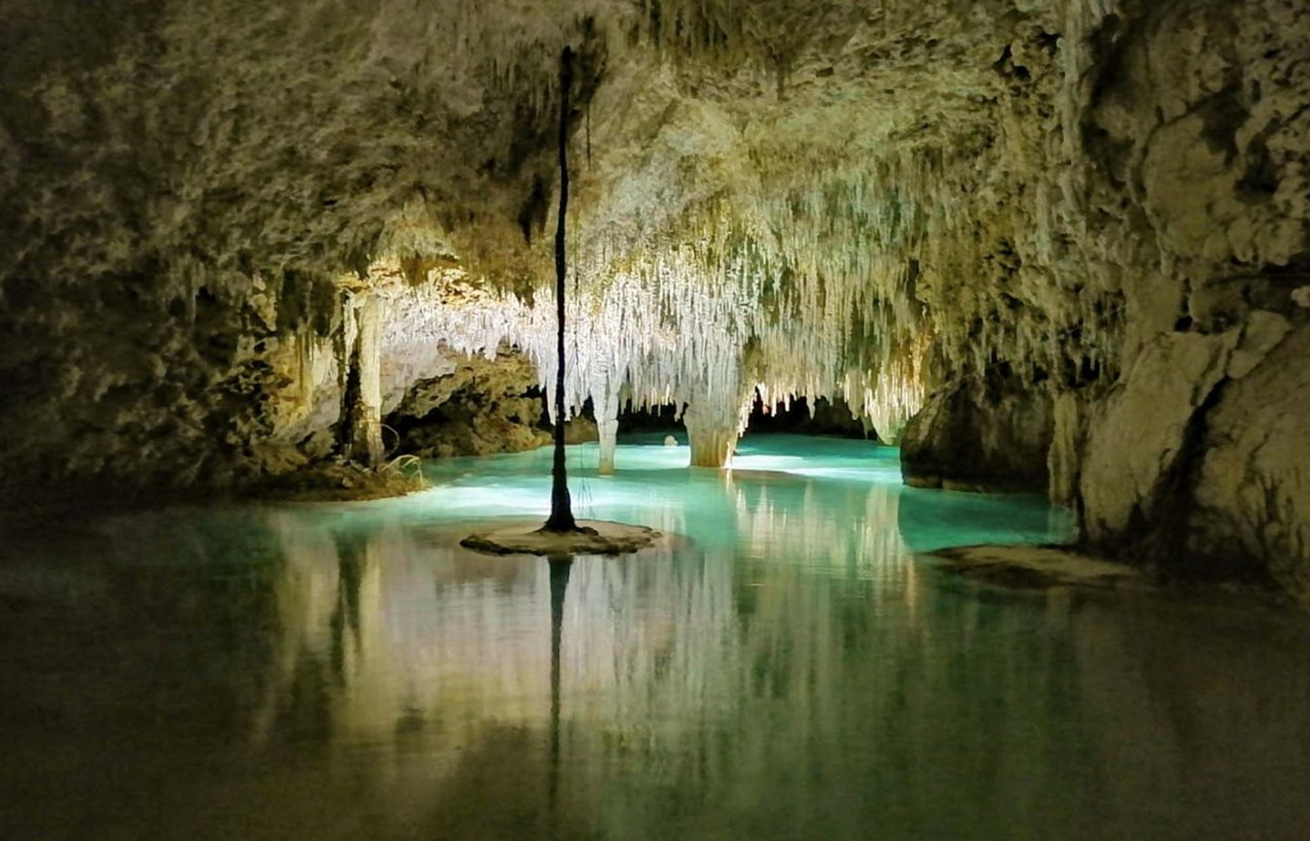 Private tour Cenotes in Playa del Carmen - Wayan Adventures